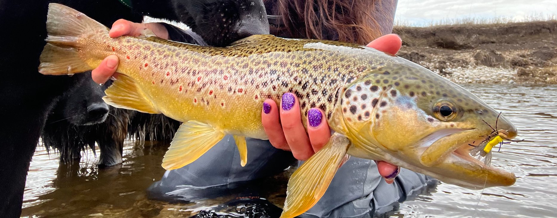 Skwala Patterns & Spring Flies – Blackfoot River Outfitters