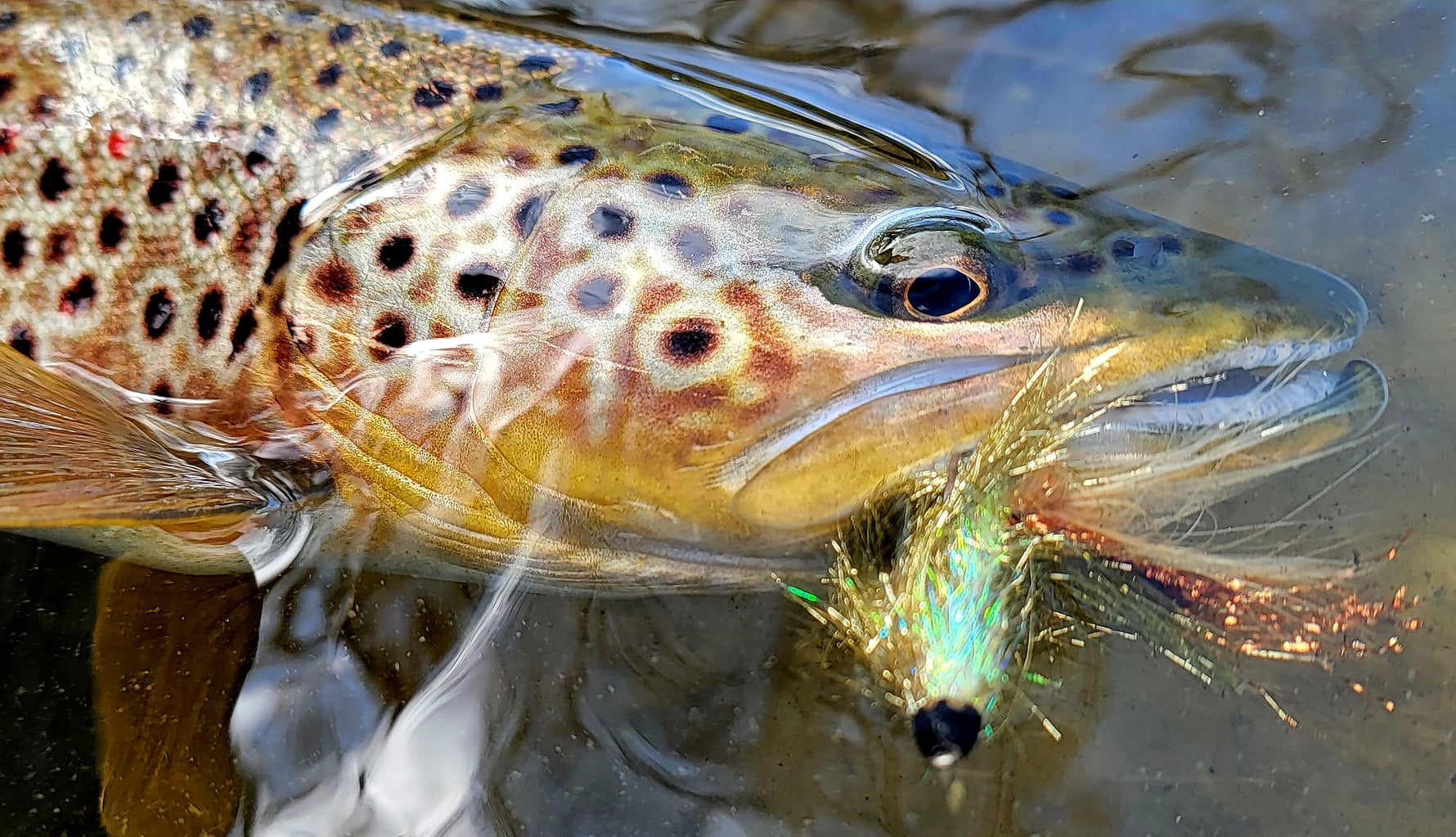 Raft Frames – Blackfoot River Outfitters